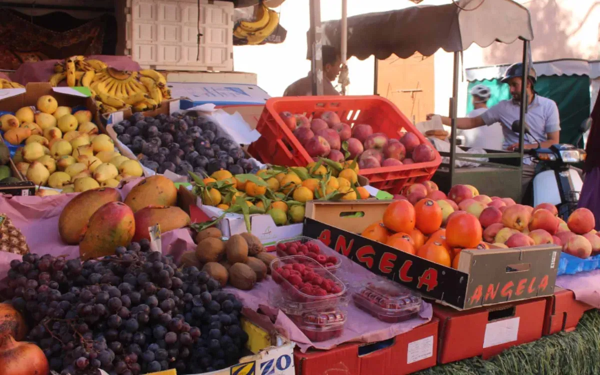 Dramatic Drop in Vegetable Prices in Morocco: A Temporary Relief or a ...